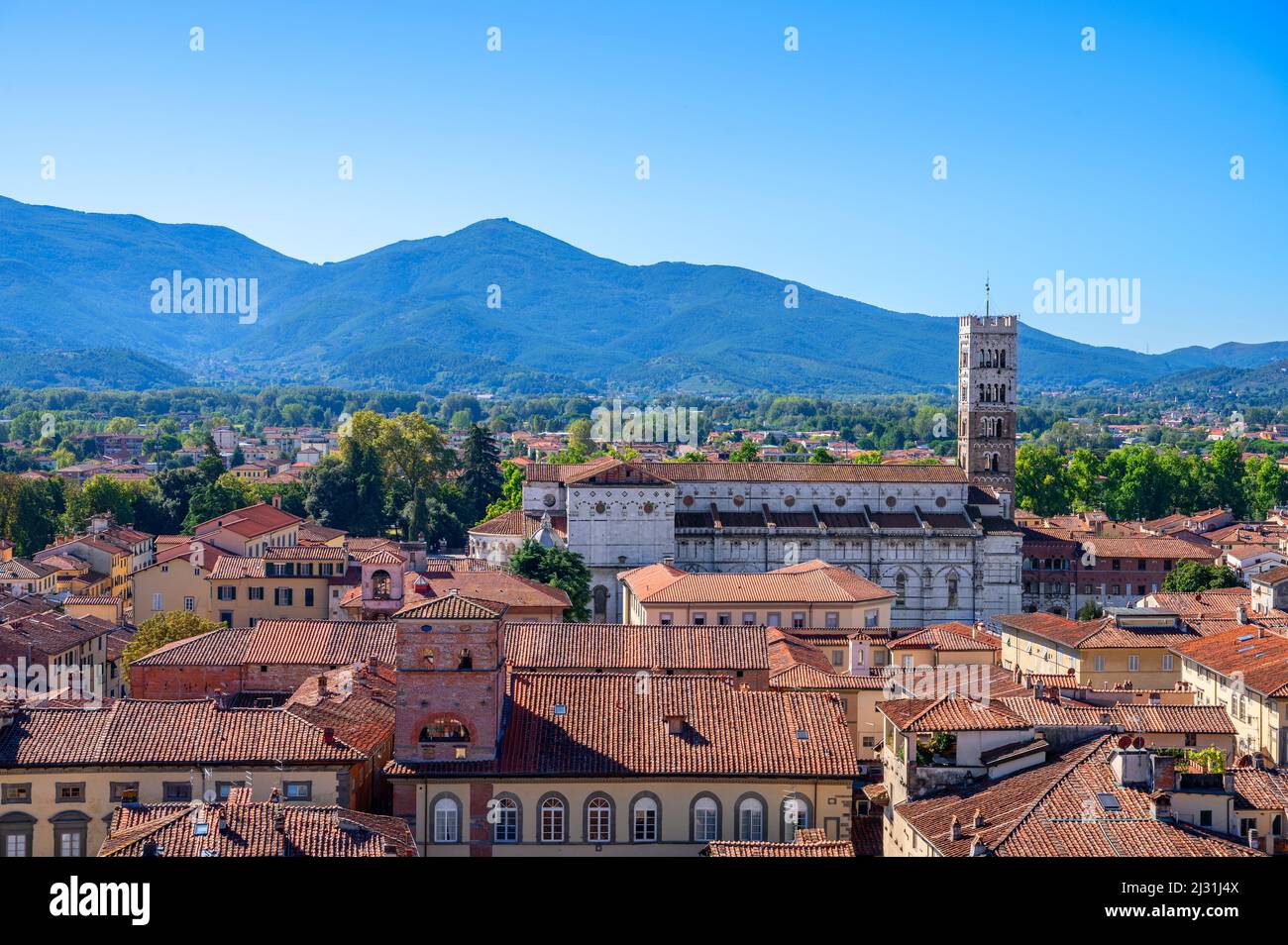 View from Torre Guinigi over Lucca, Province of Lucca, Toscana, Italy ...