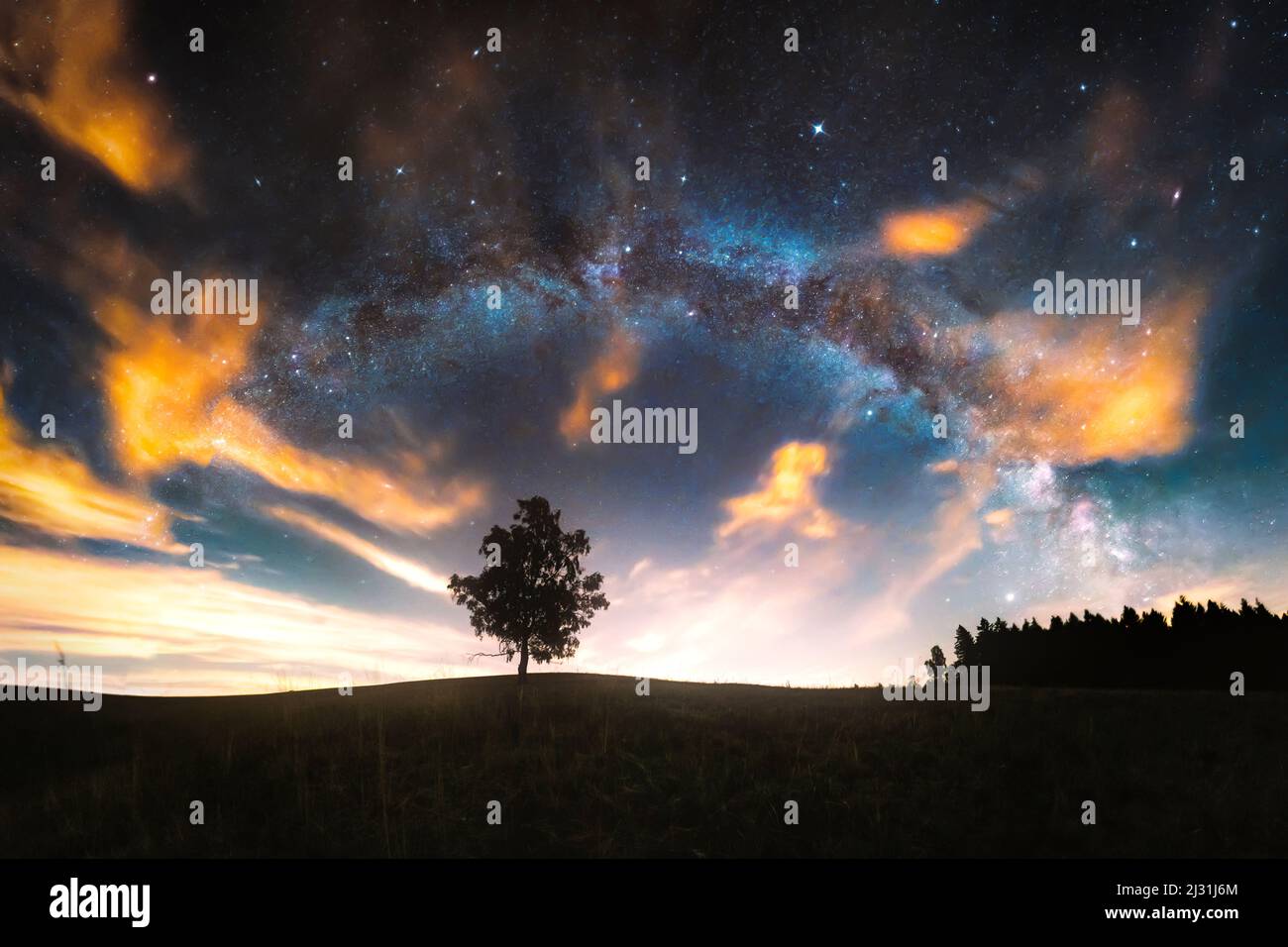A tree in a meadow near Steinbach-Hallenberg above the Milky Way ...