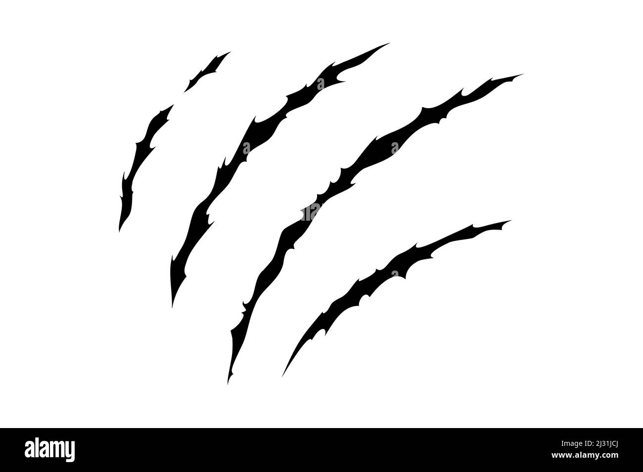Claw scratches of wild animal. Cat scratches marks isolated in white ...