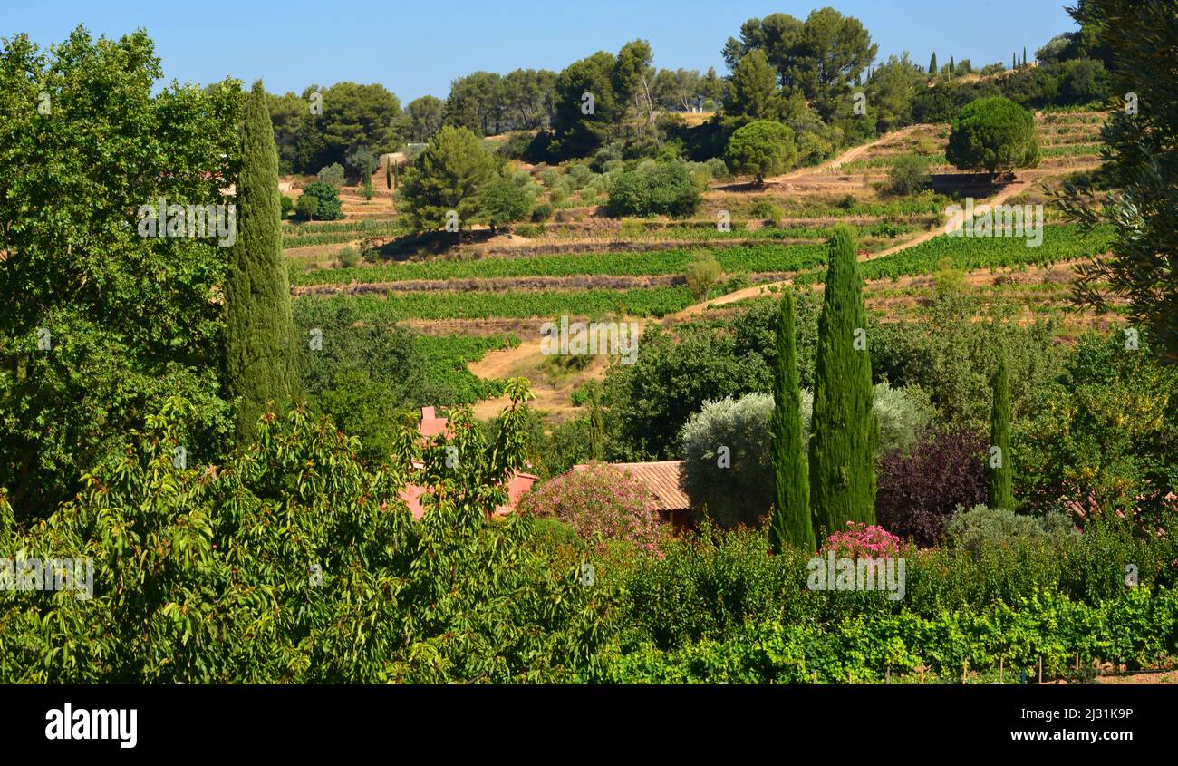 Typical provence landscape at La Cadière Stock Photo - Alamy