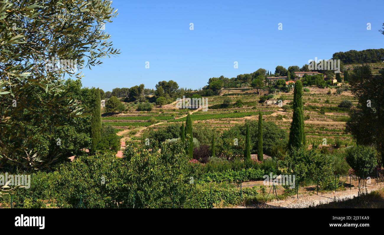 Typical provence landscape at La Cadière Stock Photo - Alamy