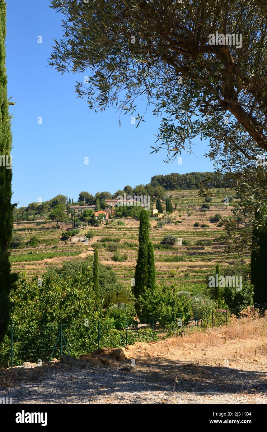 Typical provence landscape at La Cadière Stock Photo - Alamy