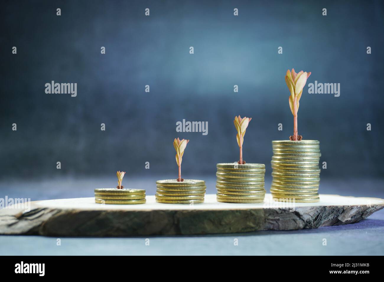 Money growth concept, where small coins in a pile gets bigger and ...