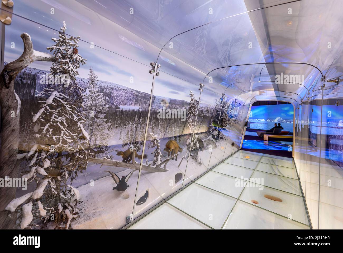 Haltia nature center hi-res stock photography and images - Alamy