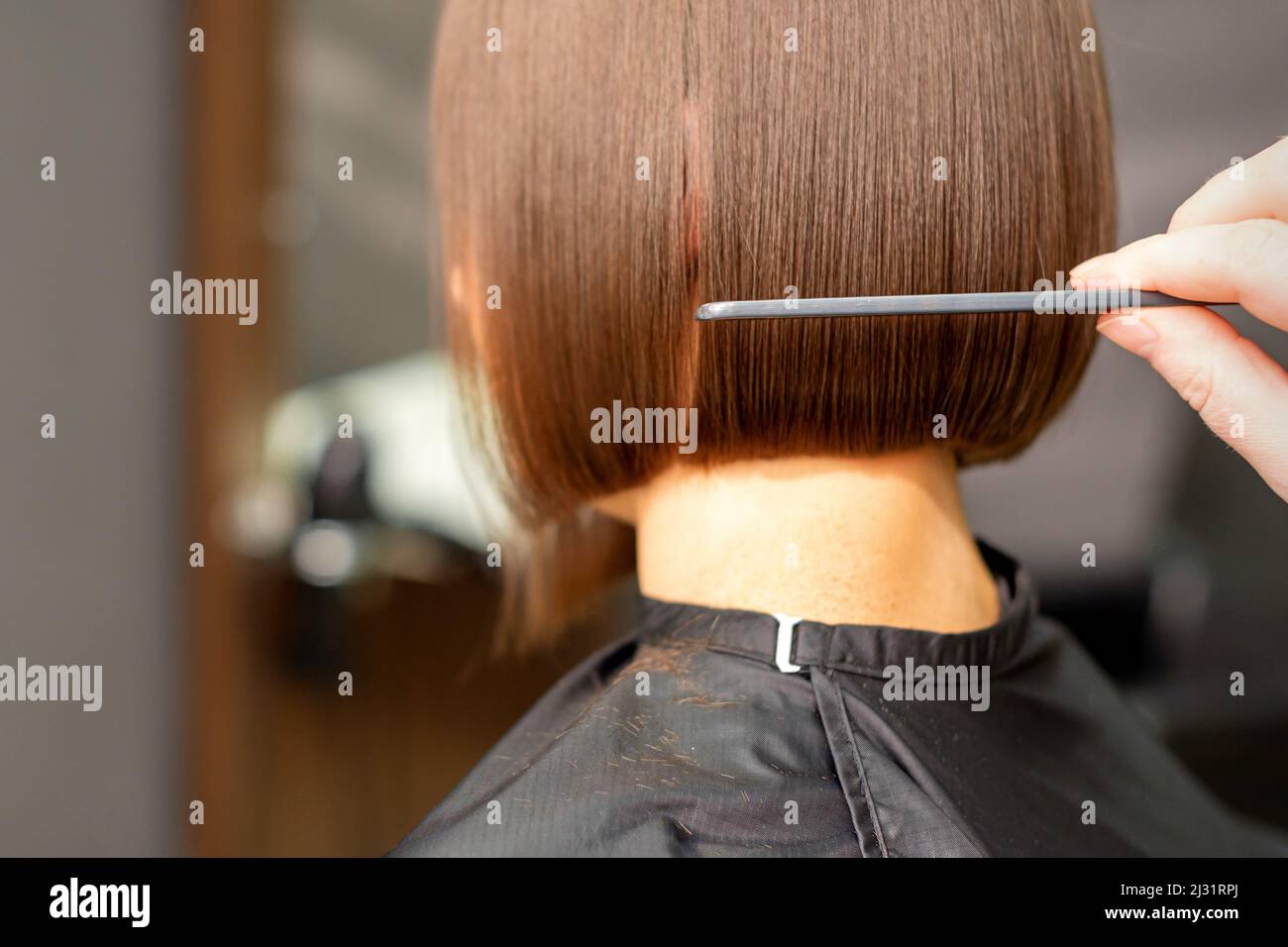 A hairdresser is combing the short hair of the brunette female client ...
