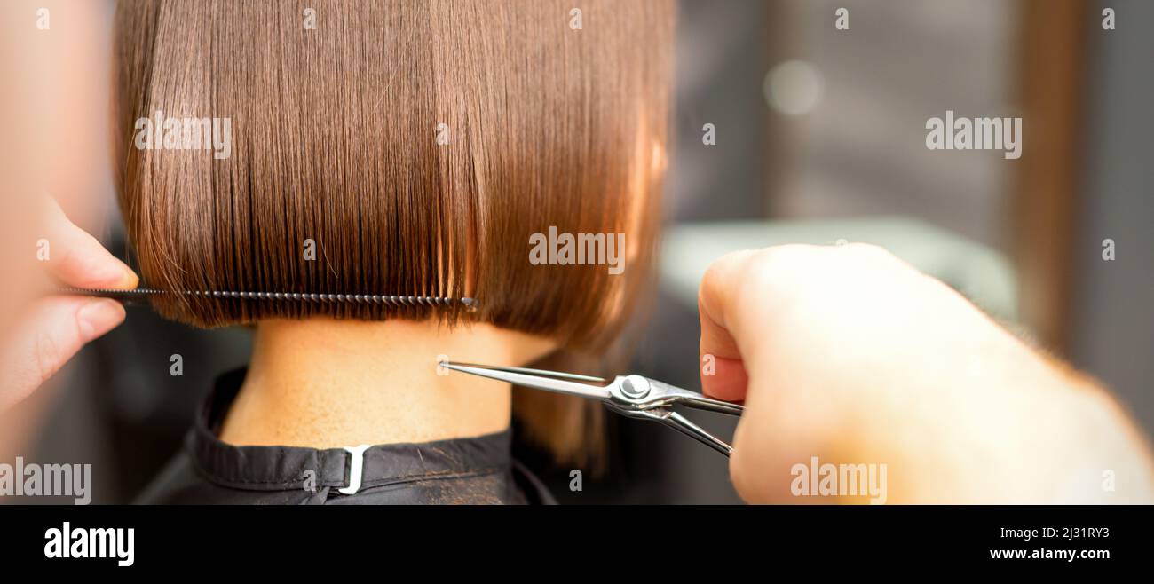 Short Haircut Back View Woman