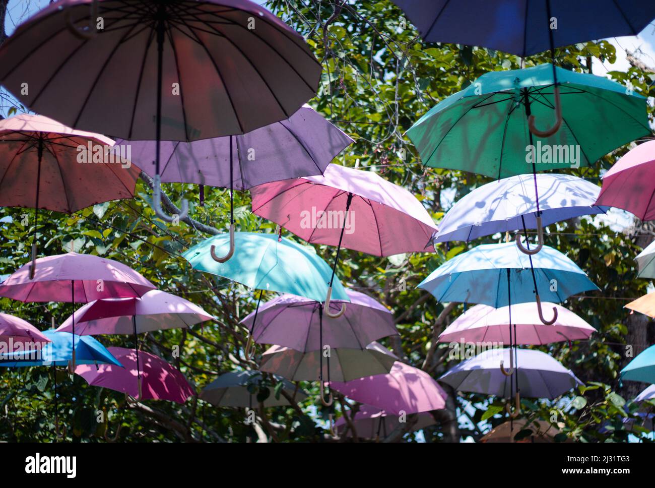 colorful umbrella background colorful umbrellas in the garden Stock ...