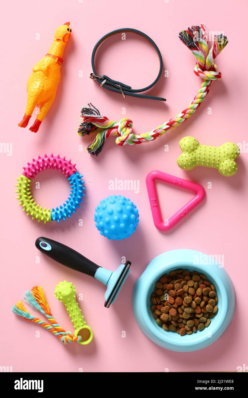 Set of pet accessories on pink background. Pet care and training ...