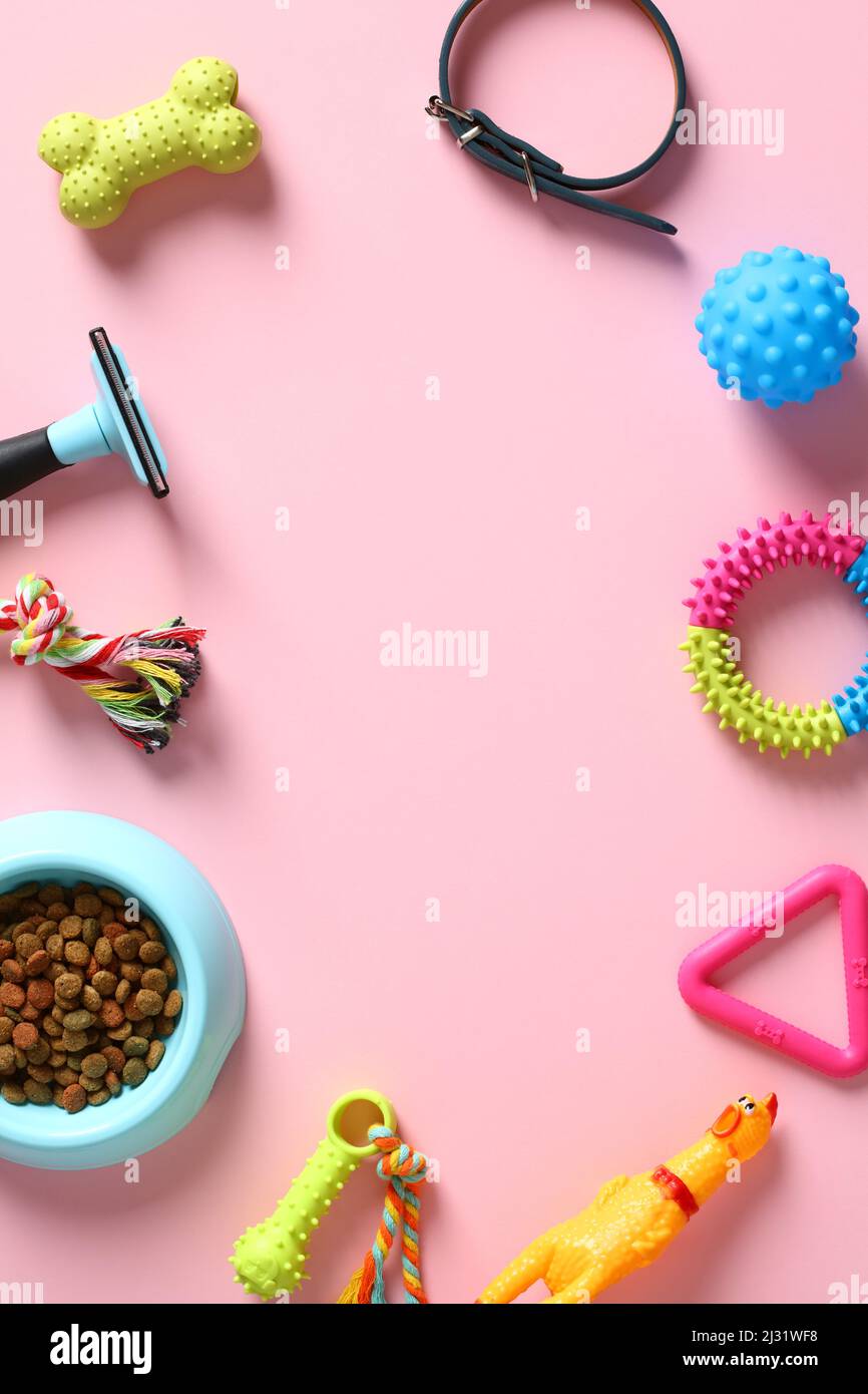 Frame of accessories for pets on pink background. Pet care and training ...