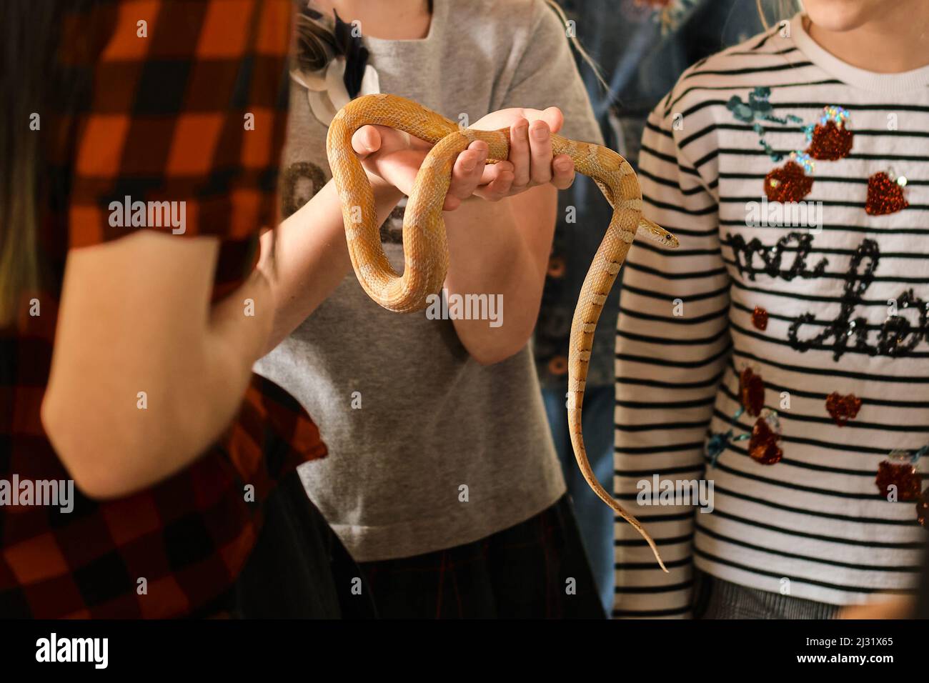 On excursion to exotarium, under strict supervision, children allowed ...