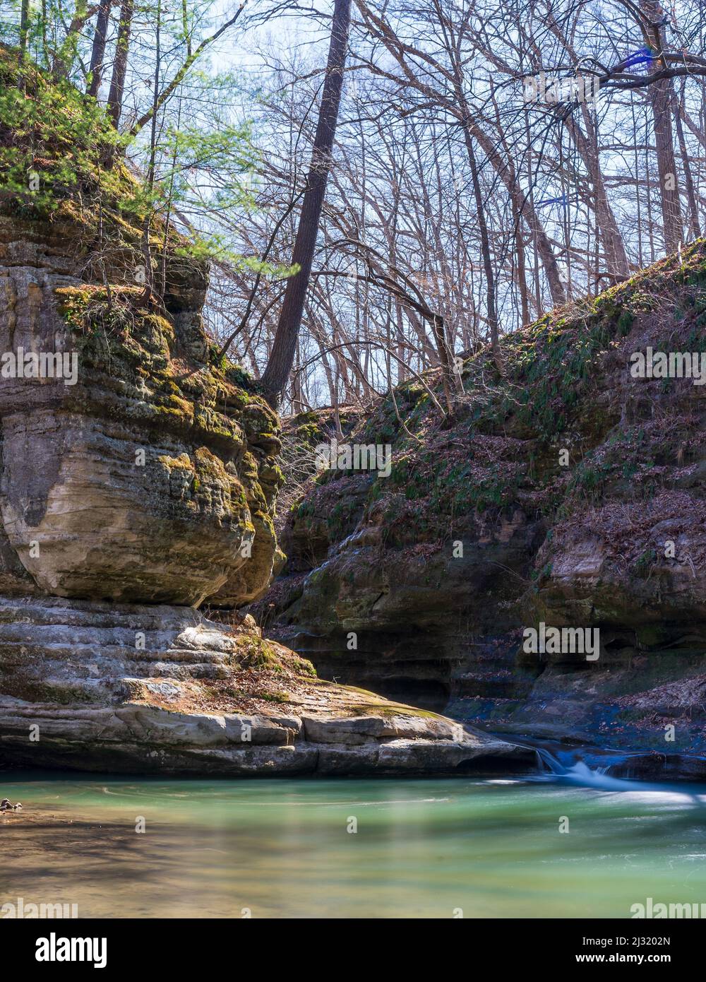 Scenic autumn landscape with rocks and dry trees in Starved Rock State ...