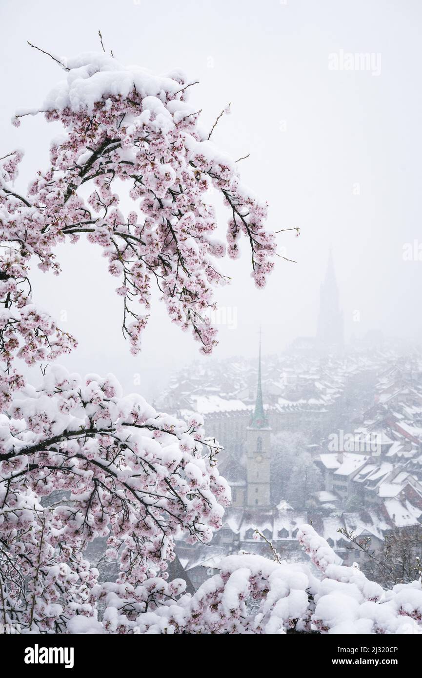 Canton of bern snow hi-res stock photography and images - Alamy