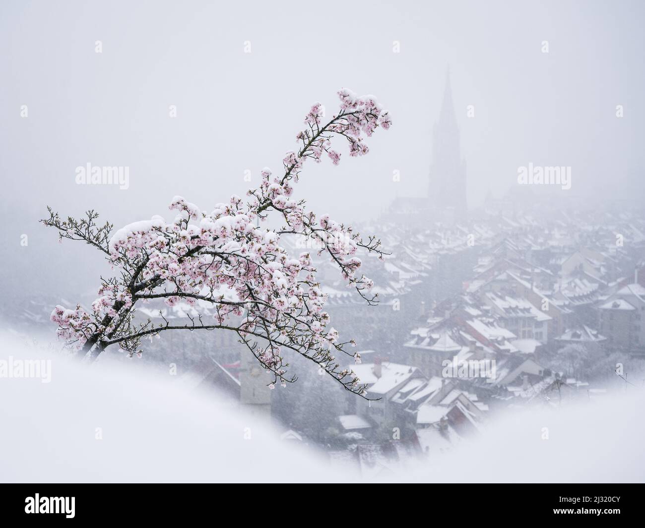 Oldtown bern hi-res stock photography and images - Alamy