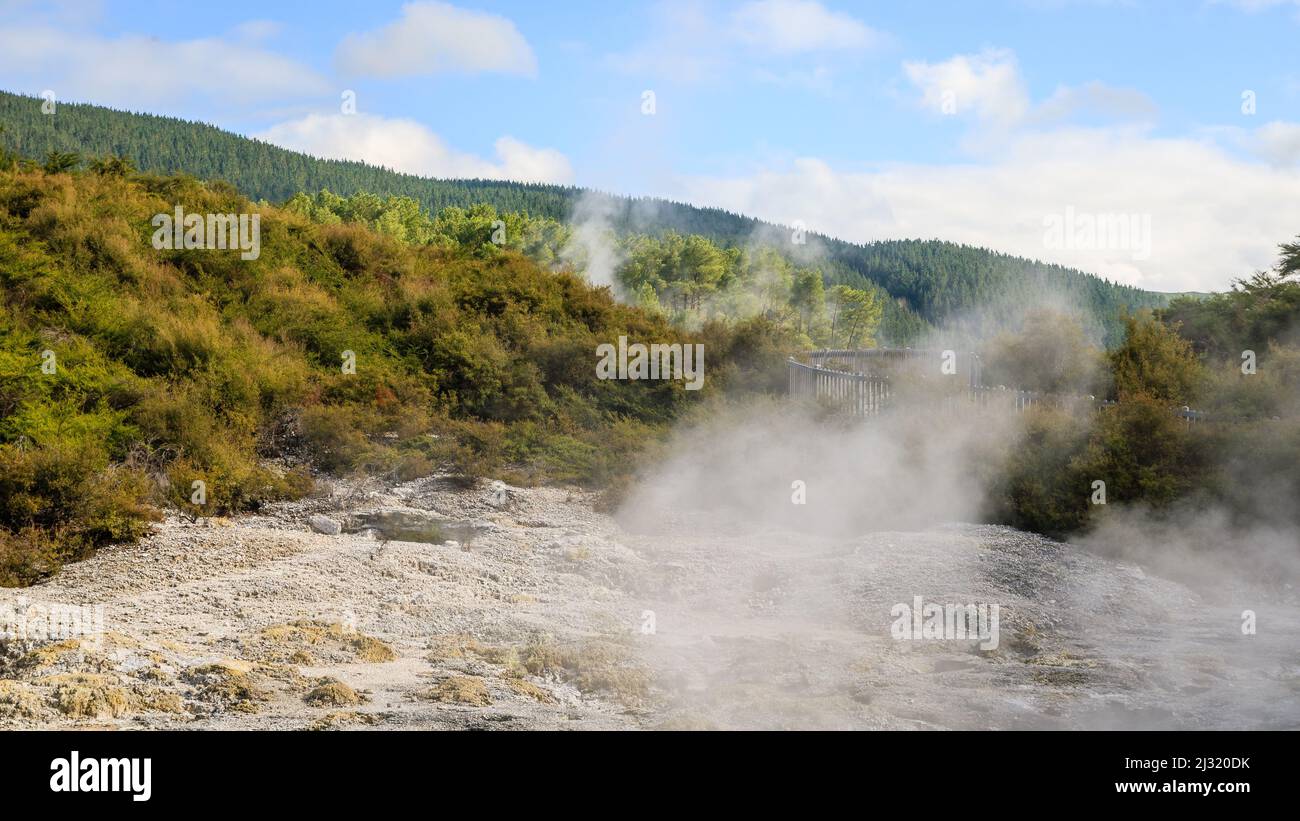 New zealand erupting geyser vertical hi-res stock photography and ...