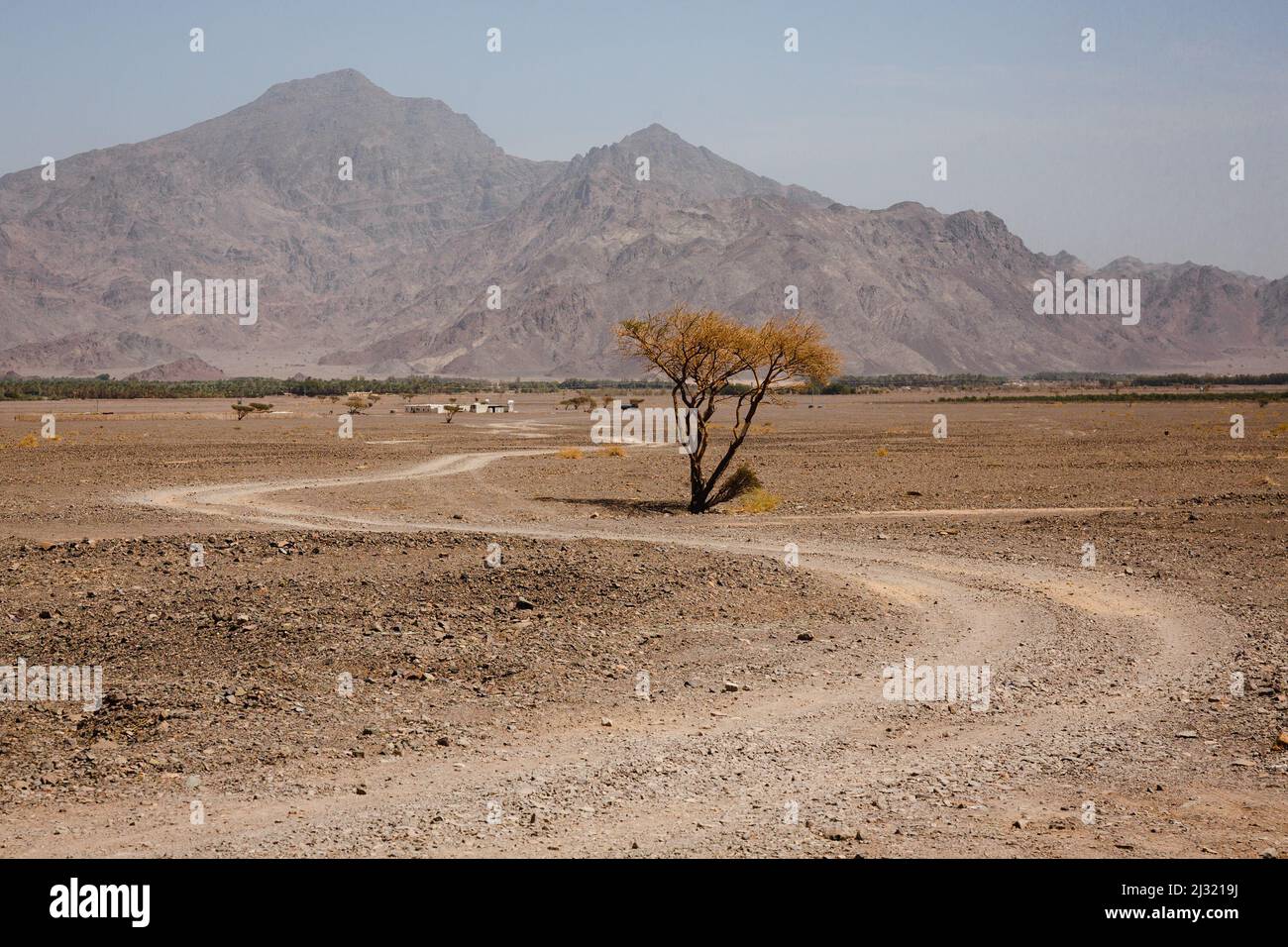 A beautiful desert landscape in the heart of Saudi Arabia Stock Photo ...