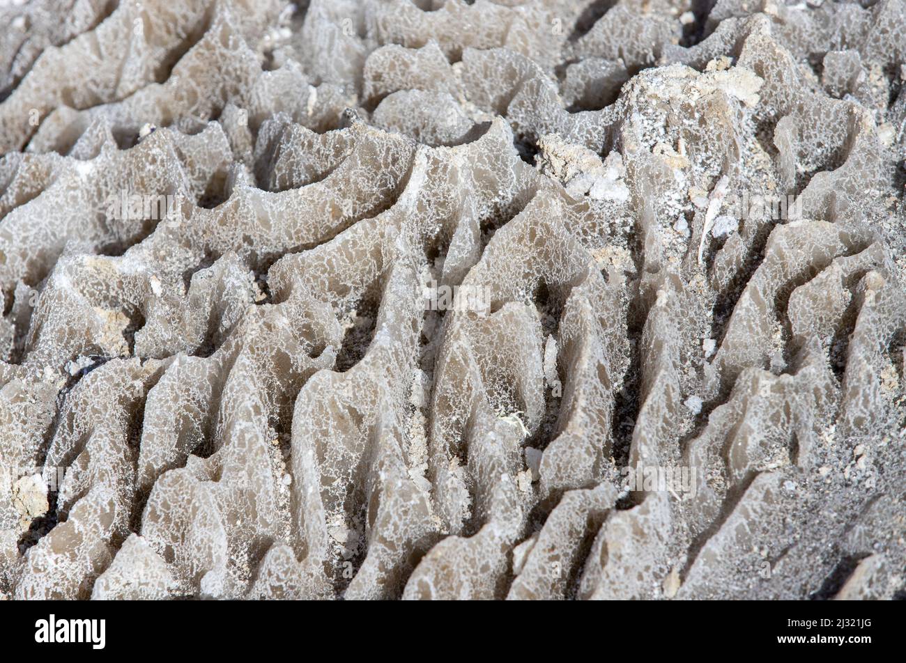 A close-up of the salt rock erosion Stock Photo - Alamy