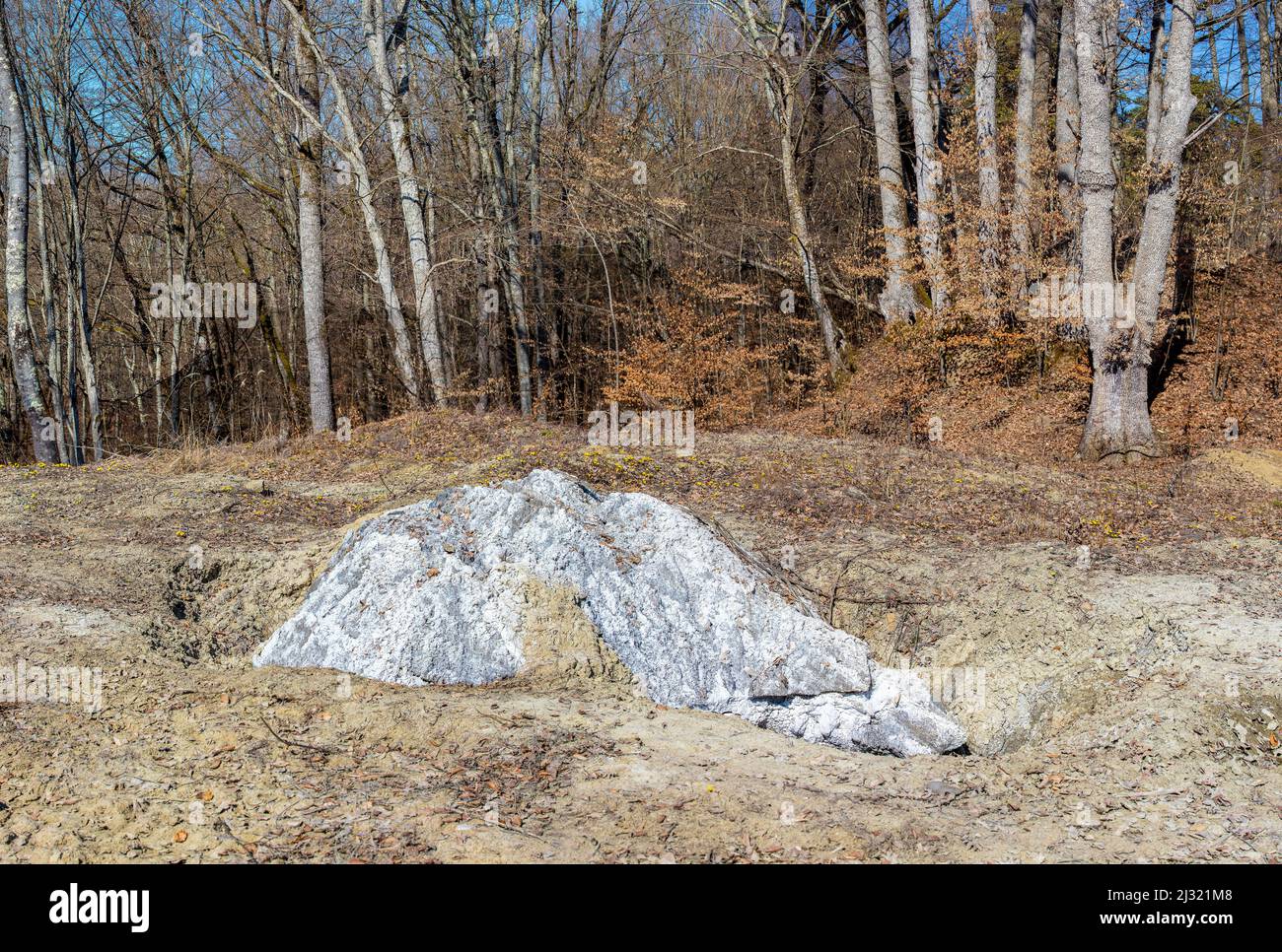 A close-up of a salt rock coming out from the ground Stock Photo - Alamy