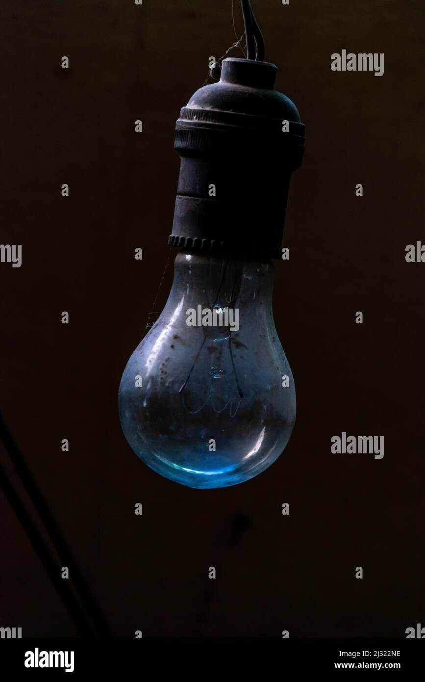 A vertical shot of a lightbulb with blue light reflections on the black ...