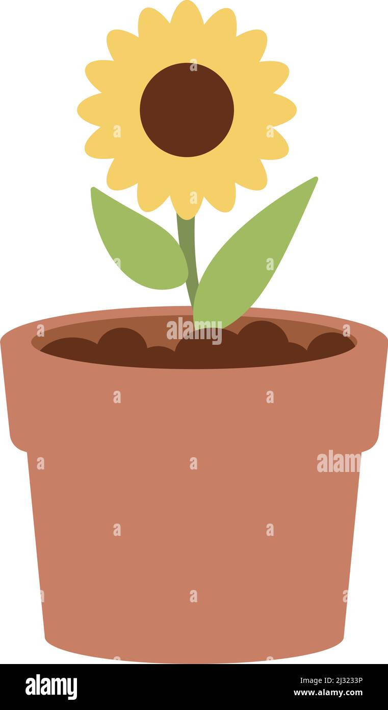 garden sunflower plant Stock Vector Image & Art - Alamy