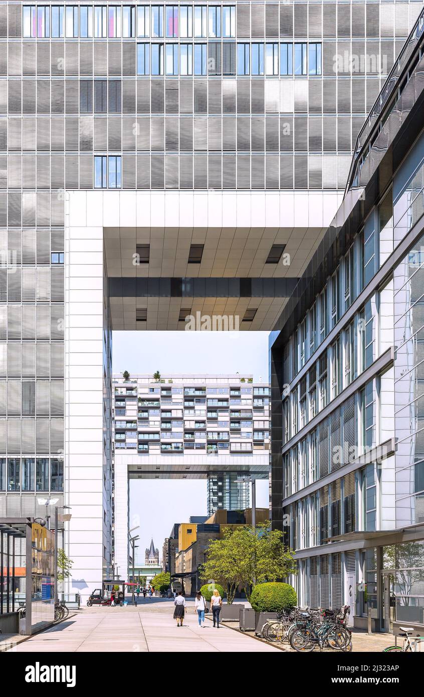 Cologne; Rheinauhafen; crane houses Stock Photo - Alamy