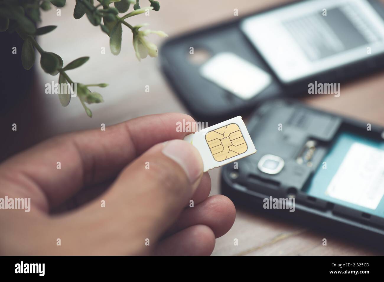 SIM card for smart phone. Changing the SIM card Stock Photo - Alamy