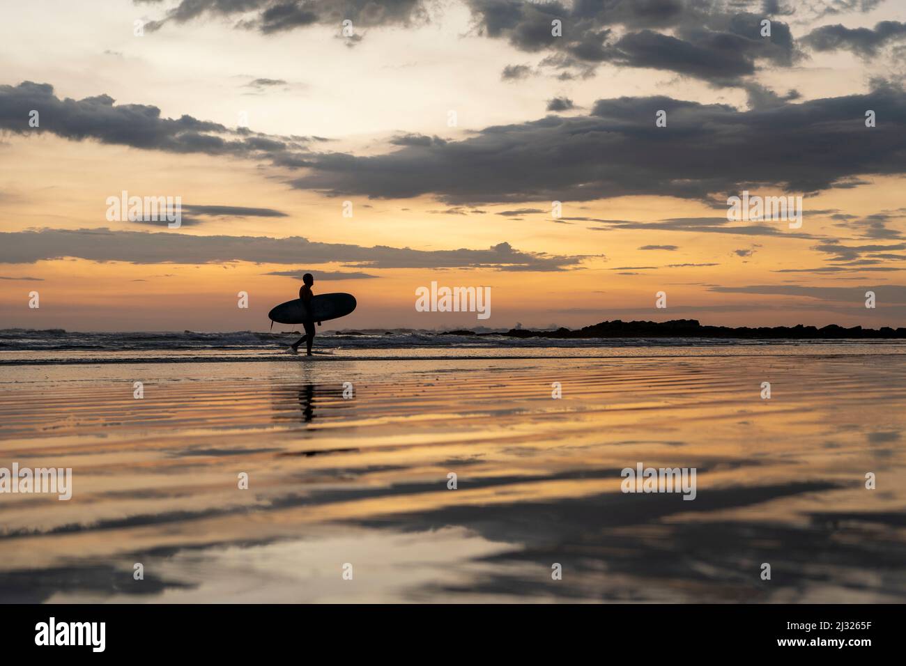 Surfer walking with surfboard on the beach at sunset, beautiful colors ...