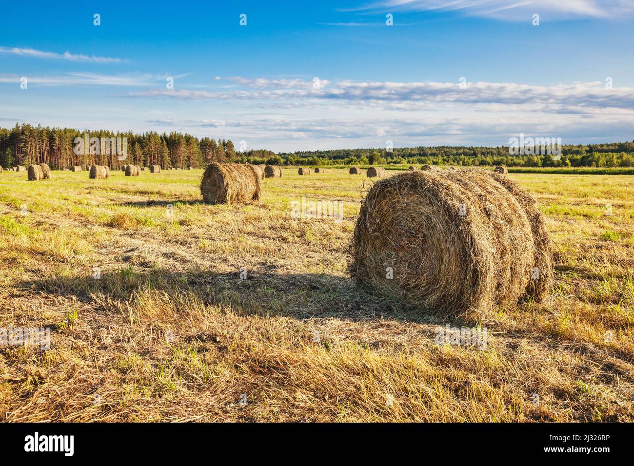 Summertime rolls hi-res stock photography and images - Alamy