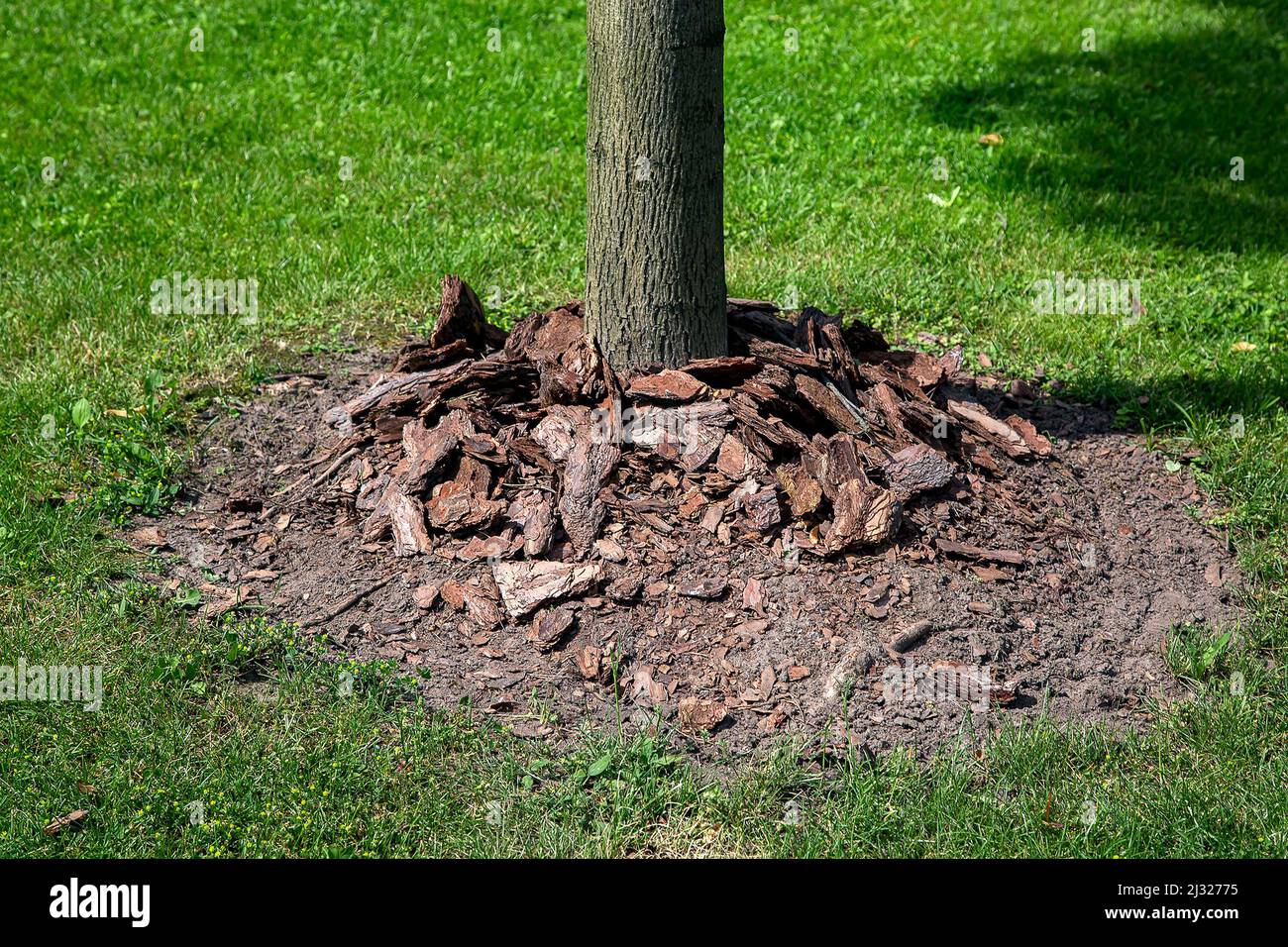 Environmental mulch mulching hi-res stock photography and images - Alamy