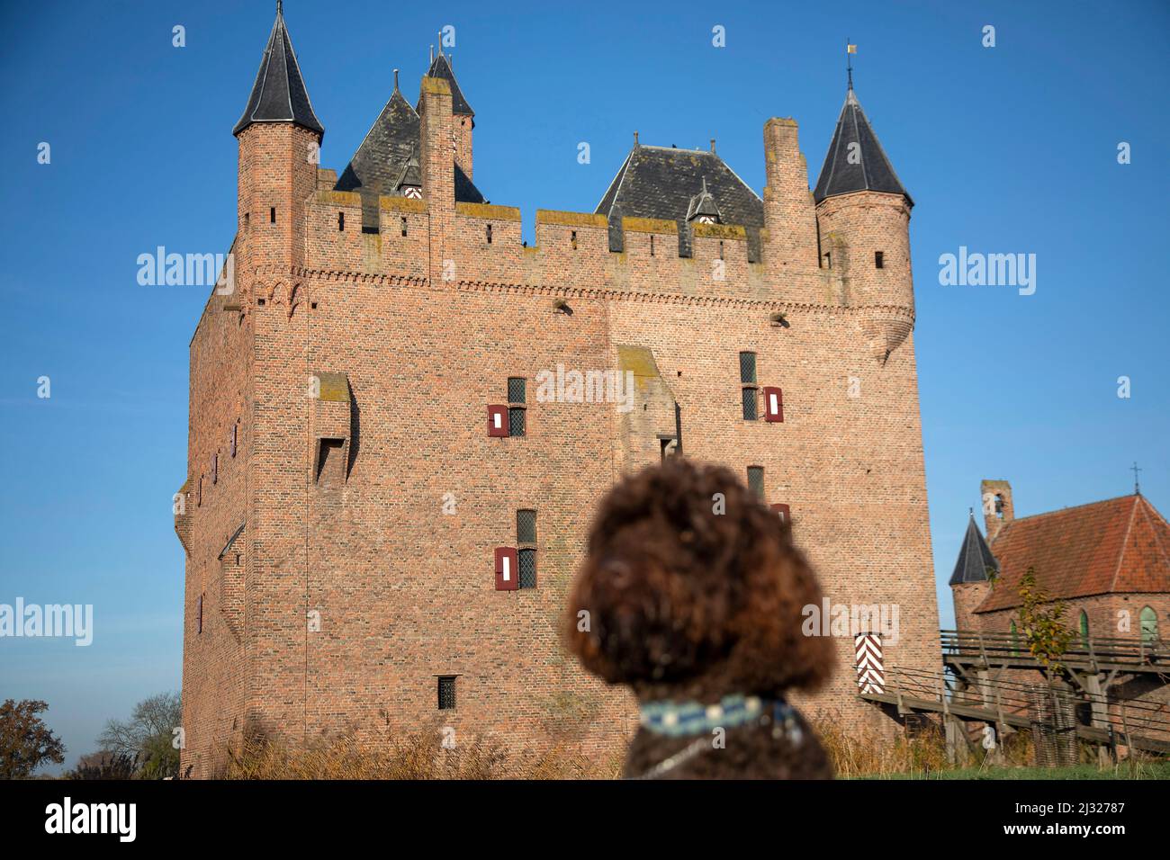 Far-sightedness, also known as long-sightedness, hypermetropia, or ...