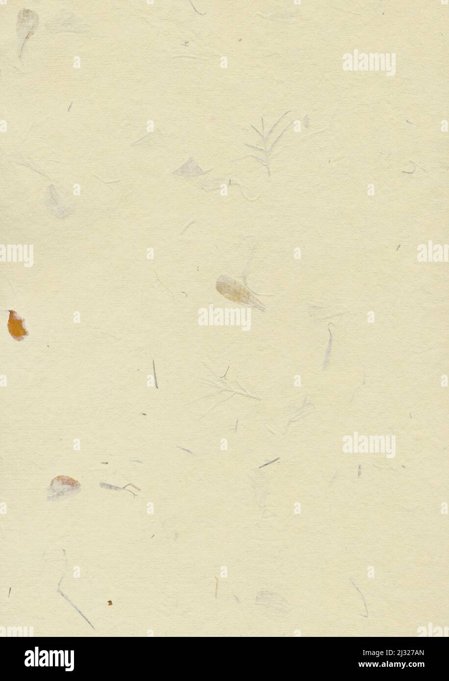 Paper texture cream hi-res stock photography and images - Alamy
