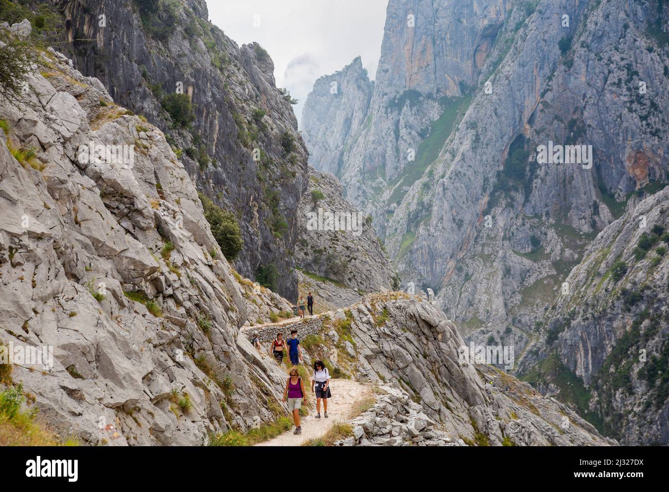 Spain, Rio Cares Gorge, limestone massif of the Picos de Europa ...