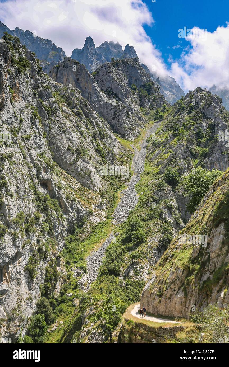 Spain, Rio Cares Gorge, limestone massif of the Picos de Europa ...