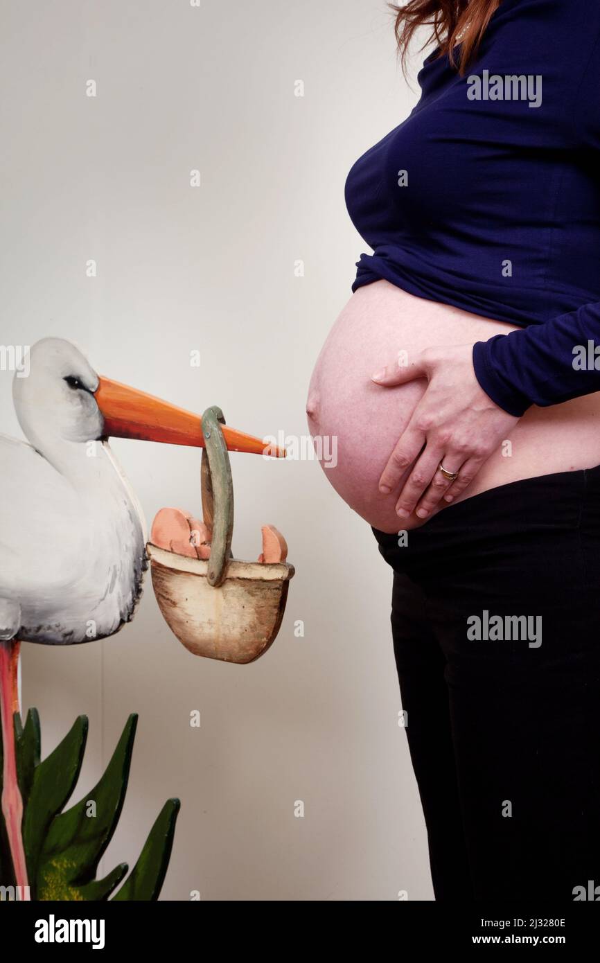 Netherlands, pregnant woman shows her belly in a pregnancy clinic with ...