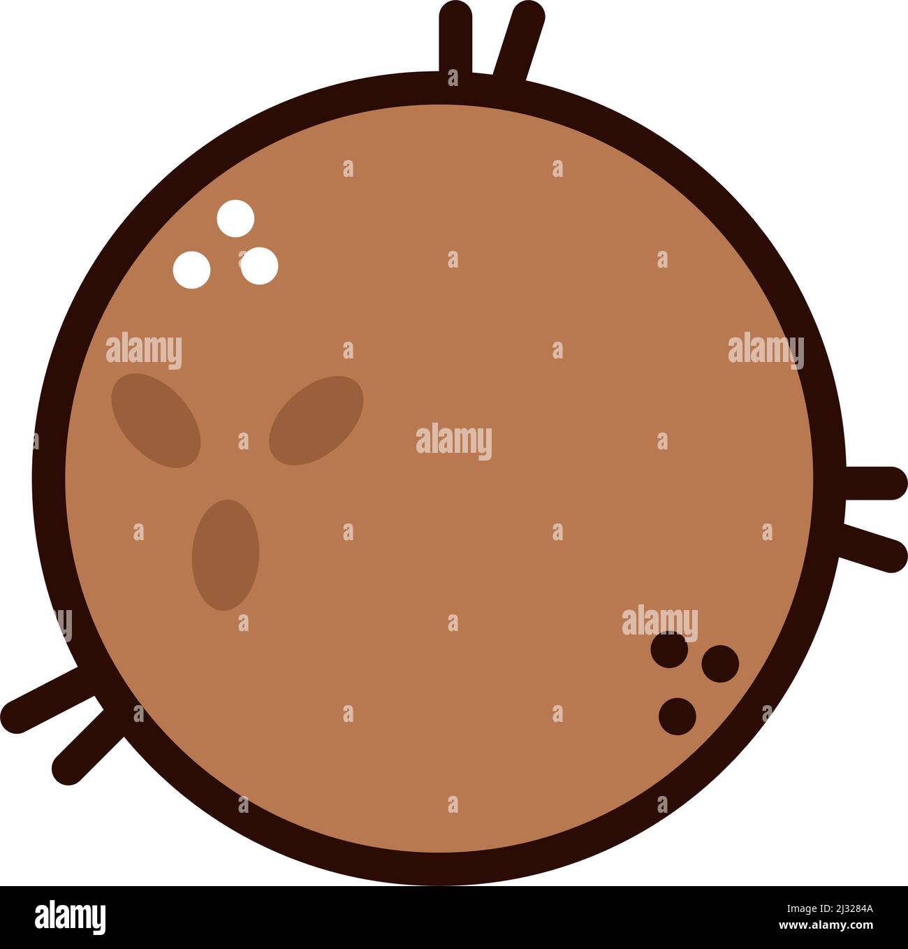 coconut fruit doodle icon Stock Vector Image & Art - Alamy