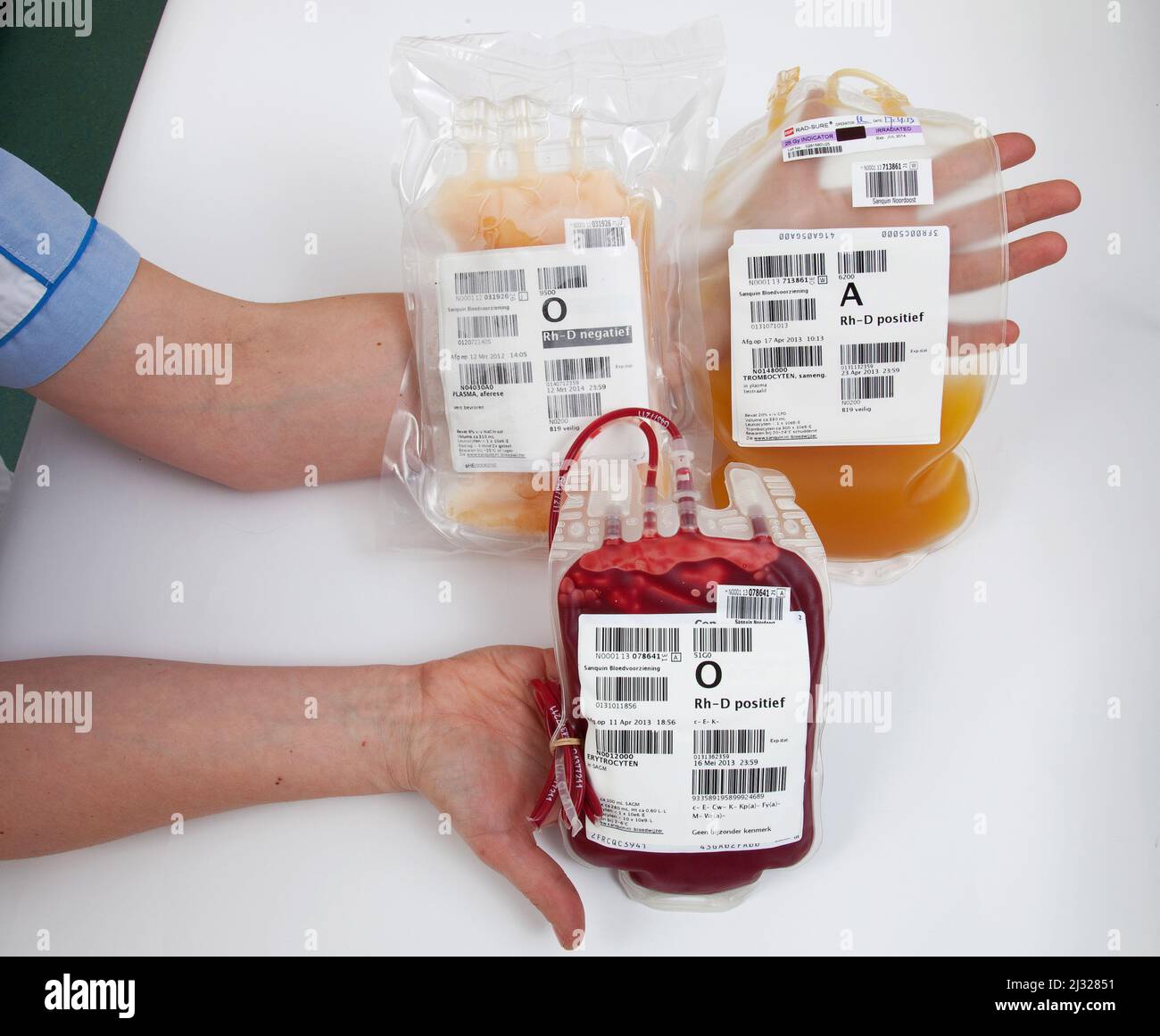 Blood Plasma Bag