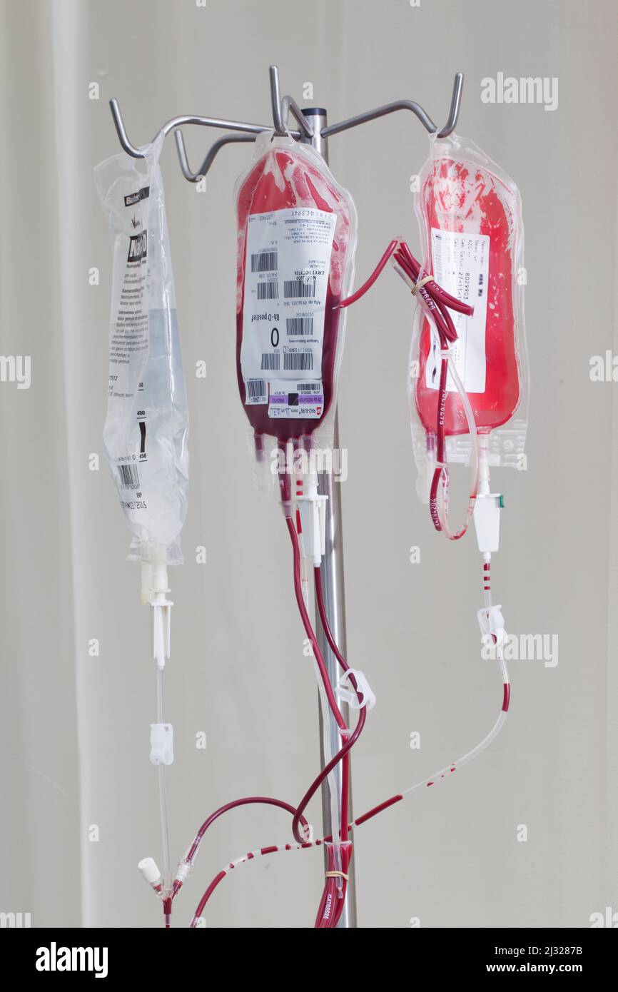 Infusion with extract of red blood cells or erythrocytes.(RBC Stock ...