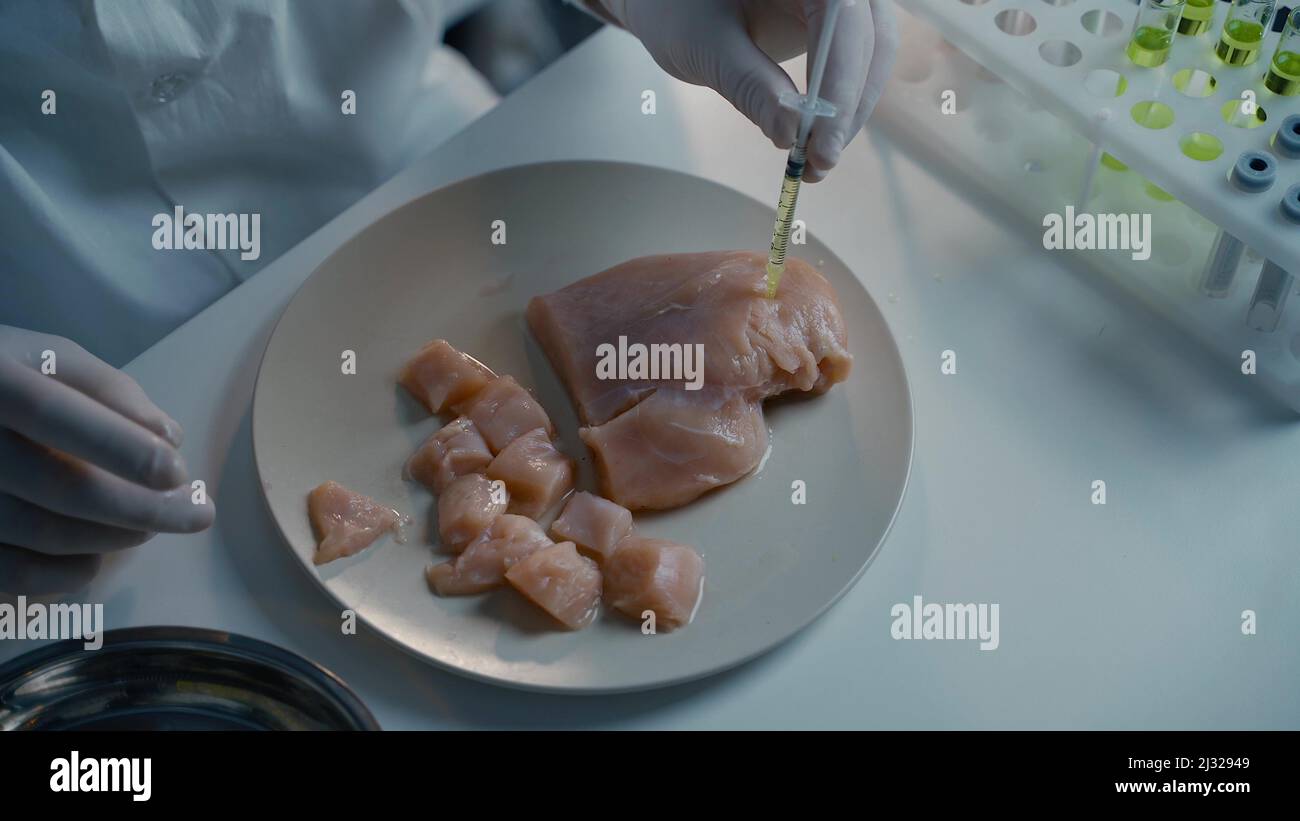 Genetic injection into raw chicken meat. Scientist doing injection to ...