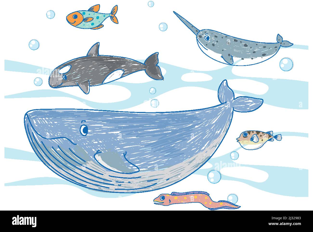 Coloured hand drawn sea animals collection illustration Stock Vector ...