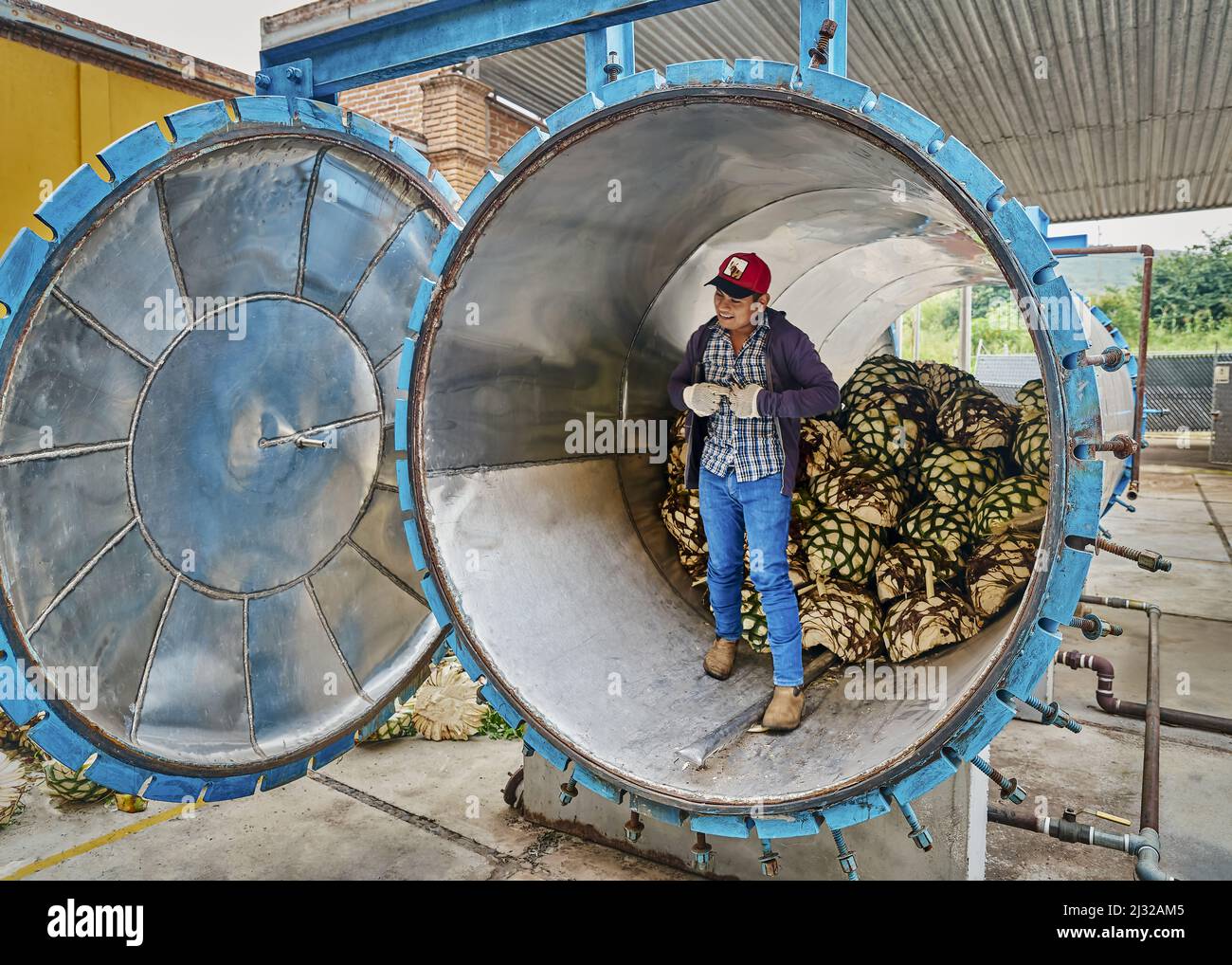 Man piling agave in oven ready to steam it Stock Photo - Alamy
