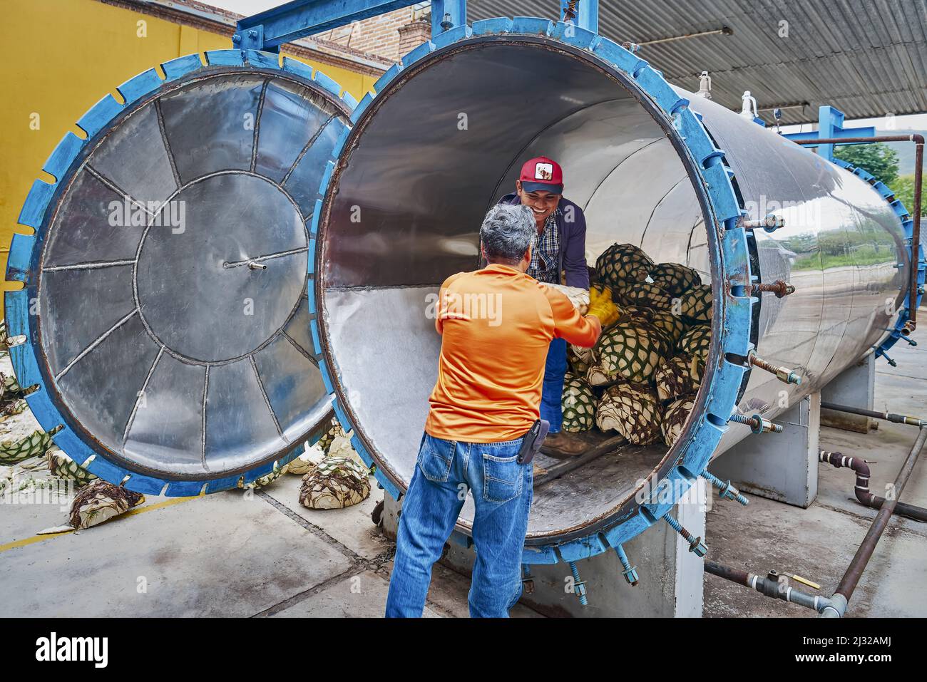 Man piling agave in oven ready to steam it Stock Photo - Alamy