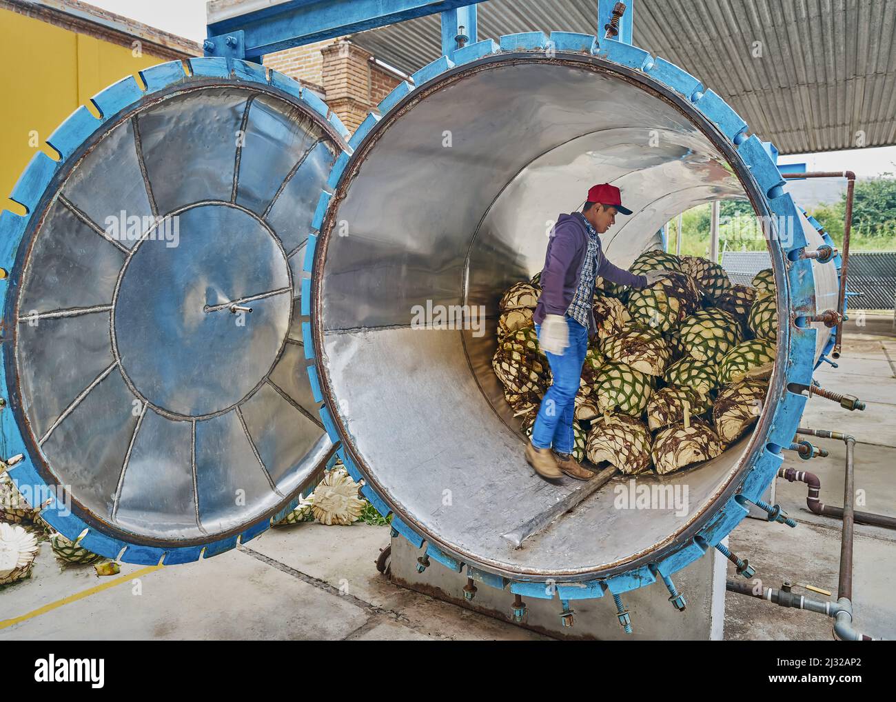 Man piling agave in oven ready to steam it Stock Photo - Alamy
