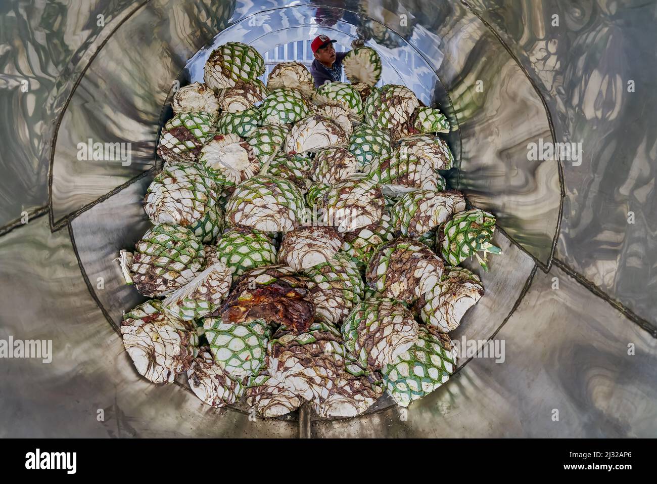 Man piling agave in oven ready to steam it Stock Photo - Alamy