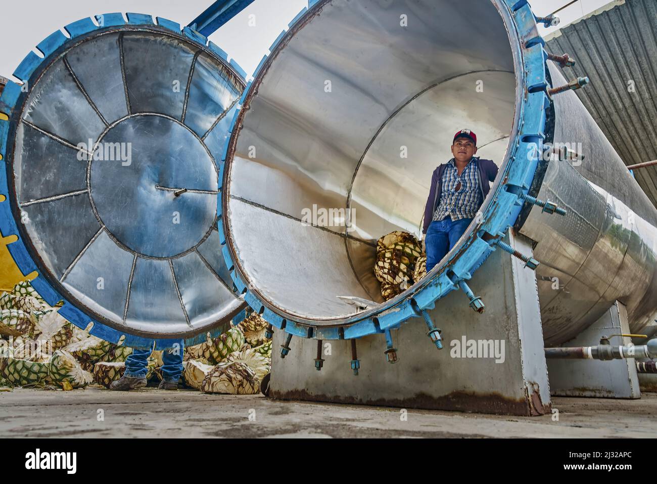 Man piling agave in oven ready to steam it Stock Photo - Alamy
