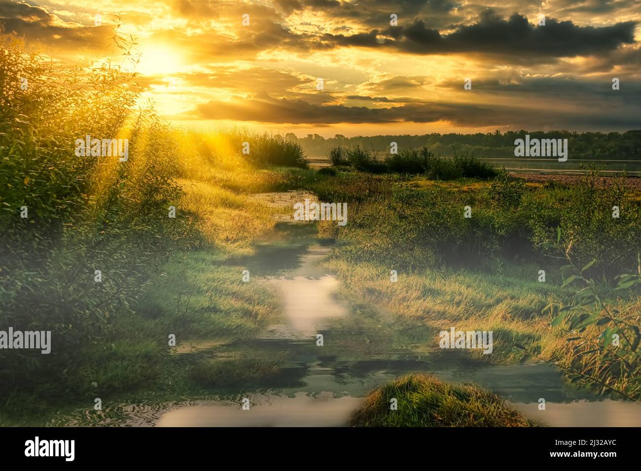 beautiful dramatic landscape early morning on the river the first rays ...