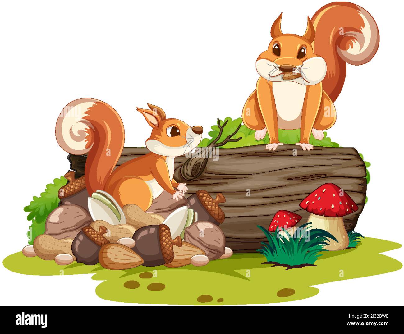 Cute Squirrel Illustration