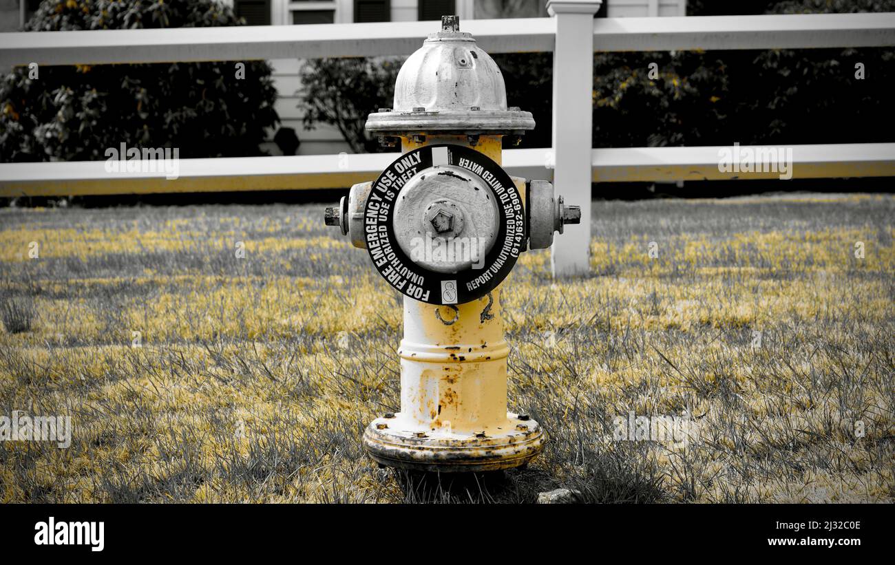 yellow fire hydrant in front of fence Stock Photo - Alamy