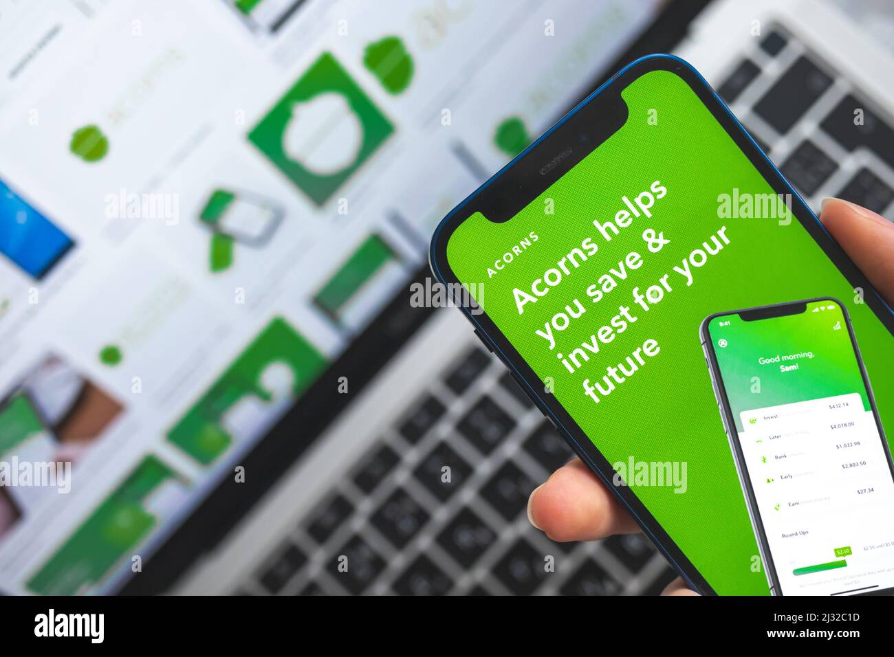 Acorn logo hi-res stock photography and images - Alamy