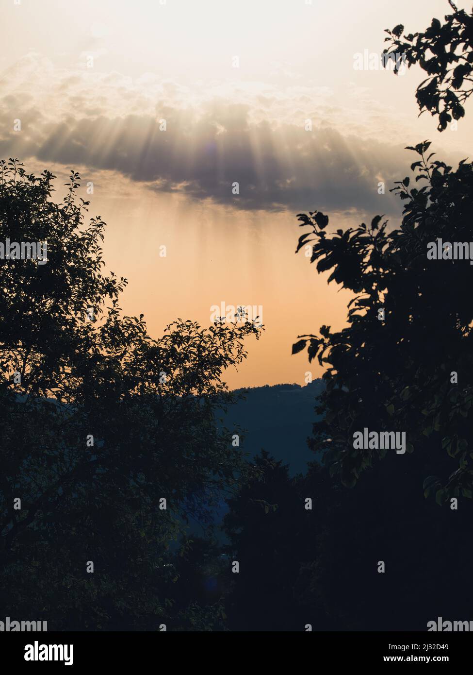 Abstract Blur peace sunshine light in summer scene background concept ...