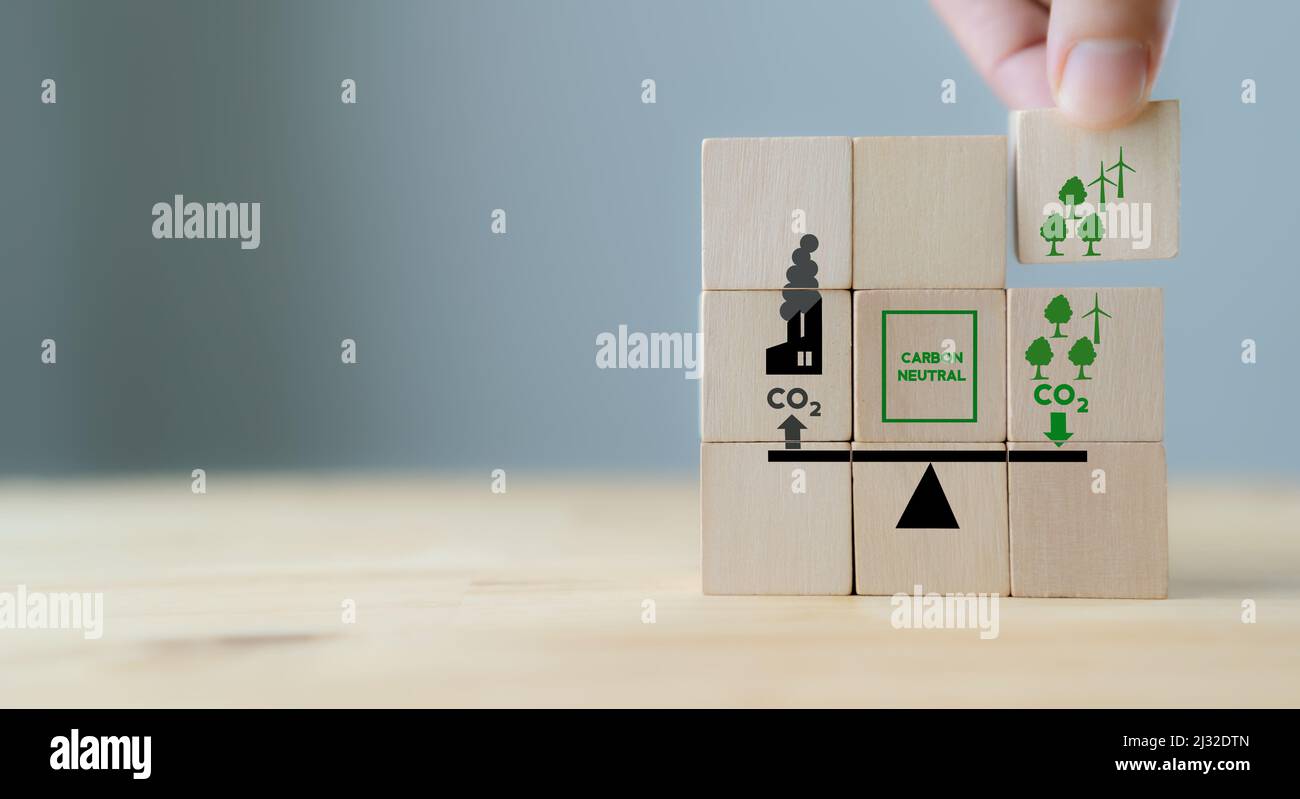 Carbon neutral balancing CO2 emission offset concept. Planting of trees ...