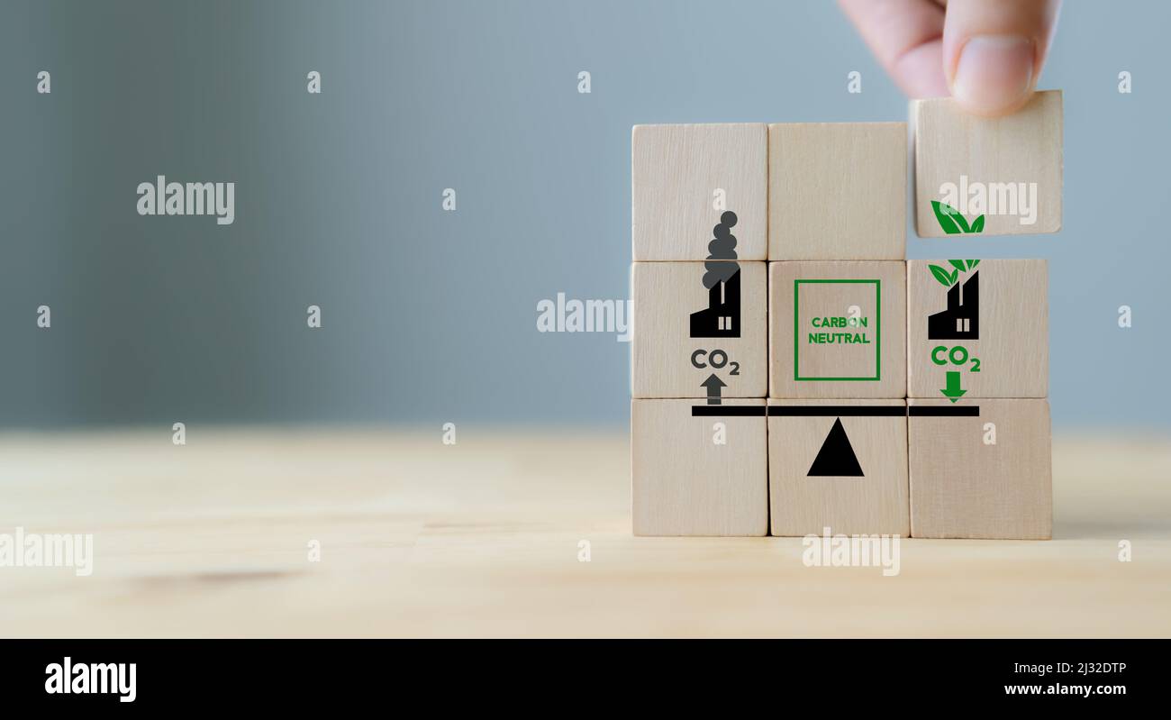 Carbon neutral balancing CO2 emission offset concept. Planting of trees ...